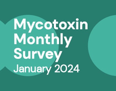 30 - Mycotoxin Survey Monthly Update: January 2024