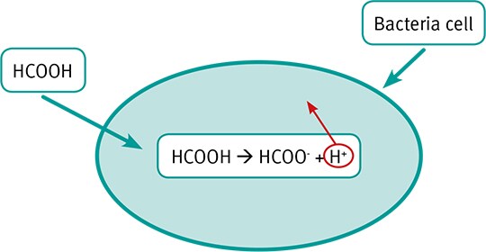 Principles of using organic acids in animal nutrition