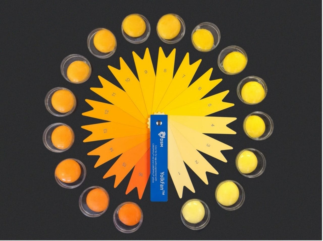 The Evolution of the YolkFan™ as the Standard for Measuring Poultry ...