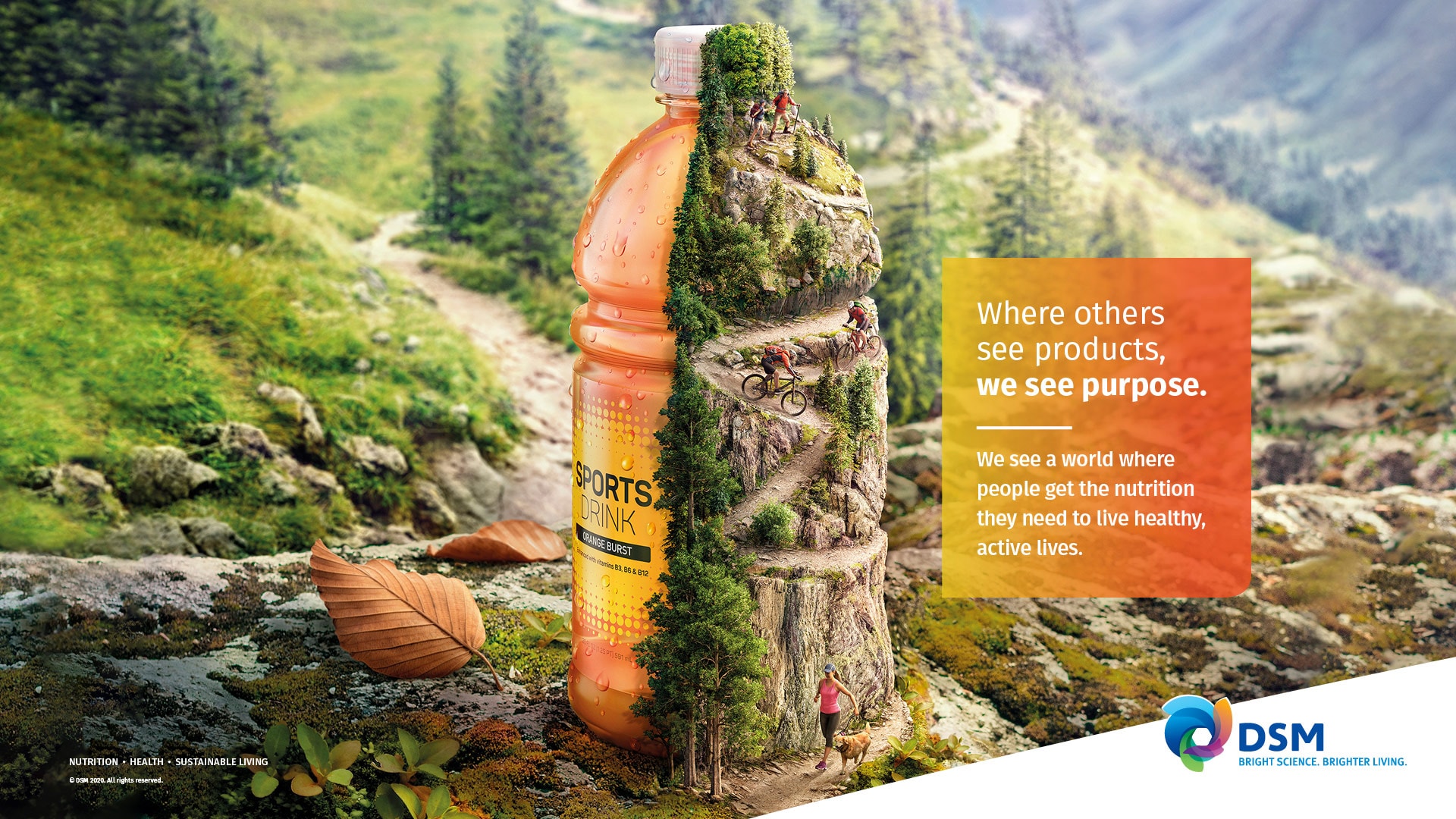 Nutritional Ingredients | DSM Food and Beverage