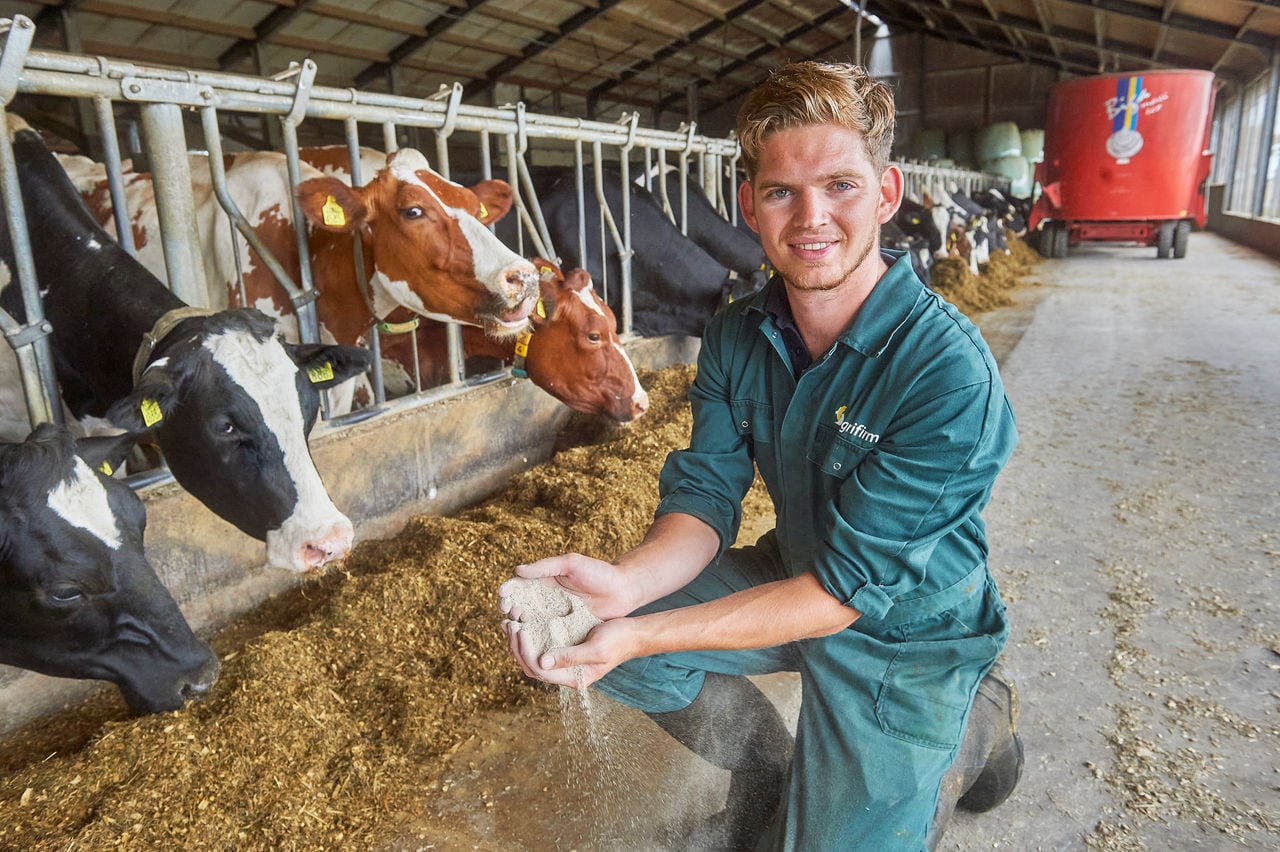 Large scale pilot proves methane-reducing feed additive Bovaer® is ...